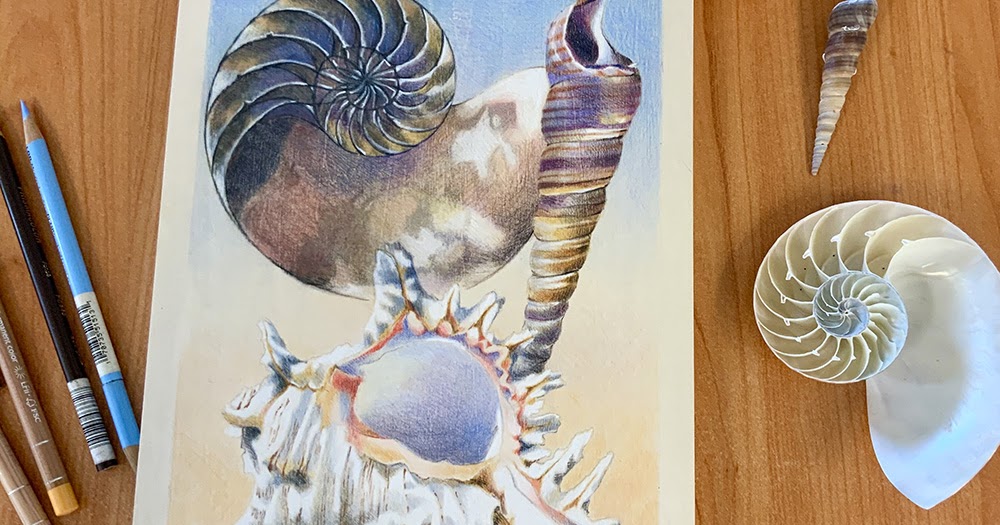 KJF DESIGN Fine Art: Colored Pencil Shell Study on Wood Panel