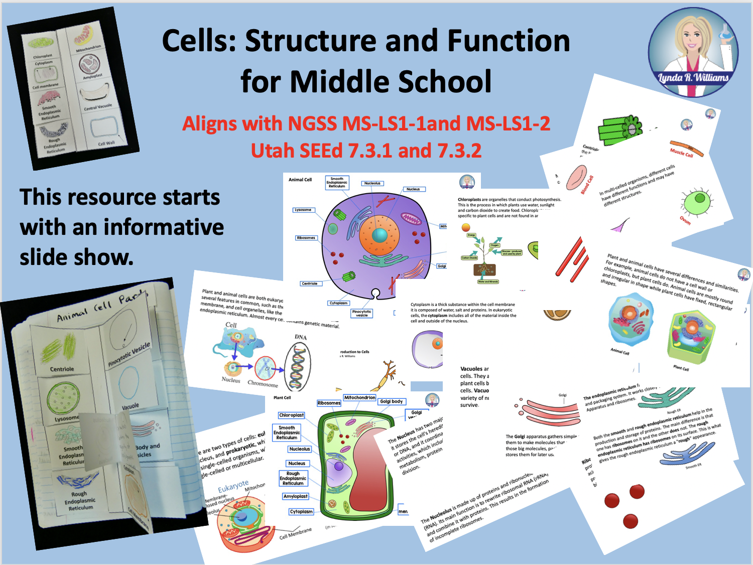 Cell Parts And Function Activities For Middle School Teaching Science Cell Parts And Function Activities For Middle School Teaching Science