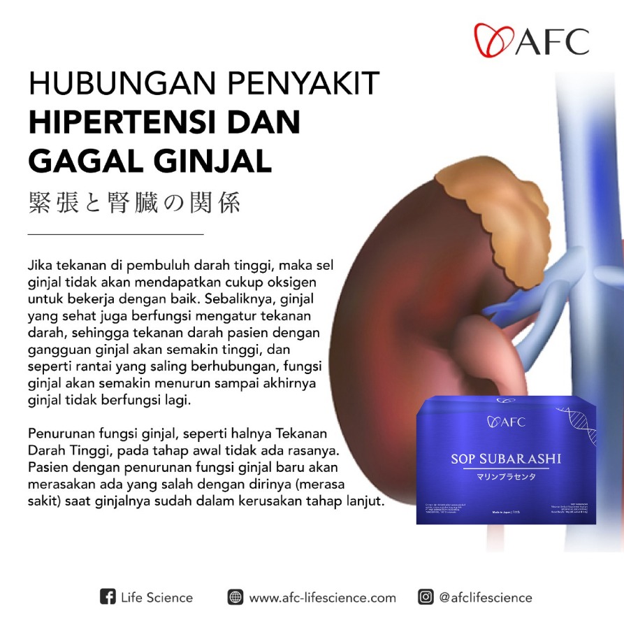 SOP SUBARASHI, UTSUKUSHHII, SOP 100+ dan SENSEI SURU AFC: SOP SUBARASHI