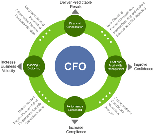 High Quality Interim Cfo Services Provided In Low Rates By Rogue Cfo ...