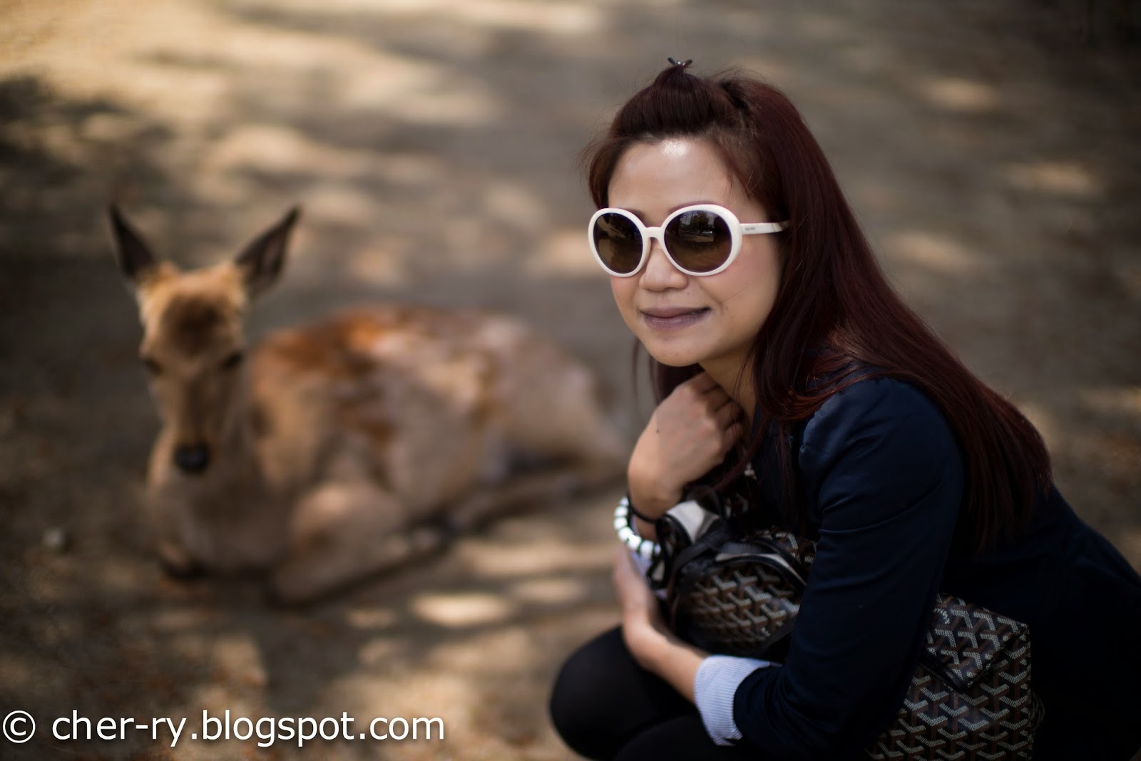 Life of a Lil Notti Monkey: Nara, Nara