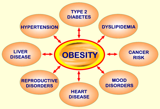 EFFECTS OF OVERWEIGHT AND OBESITY - WEIGHT MANAGEMENT EXPERT +233248597897