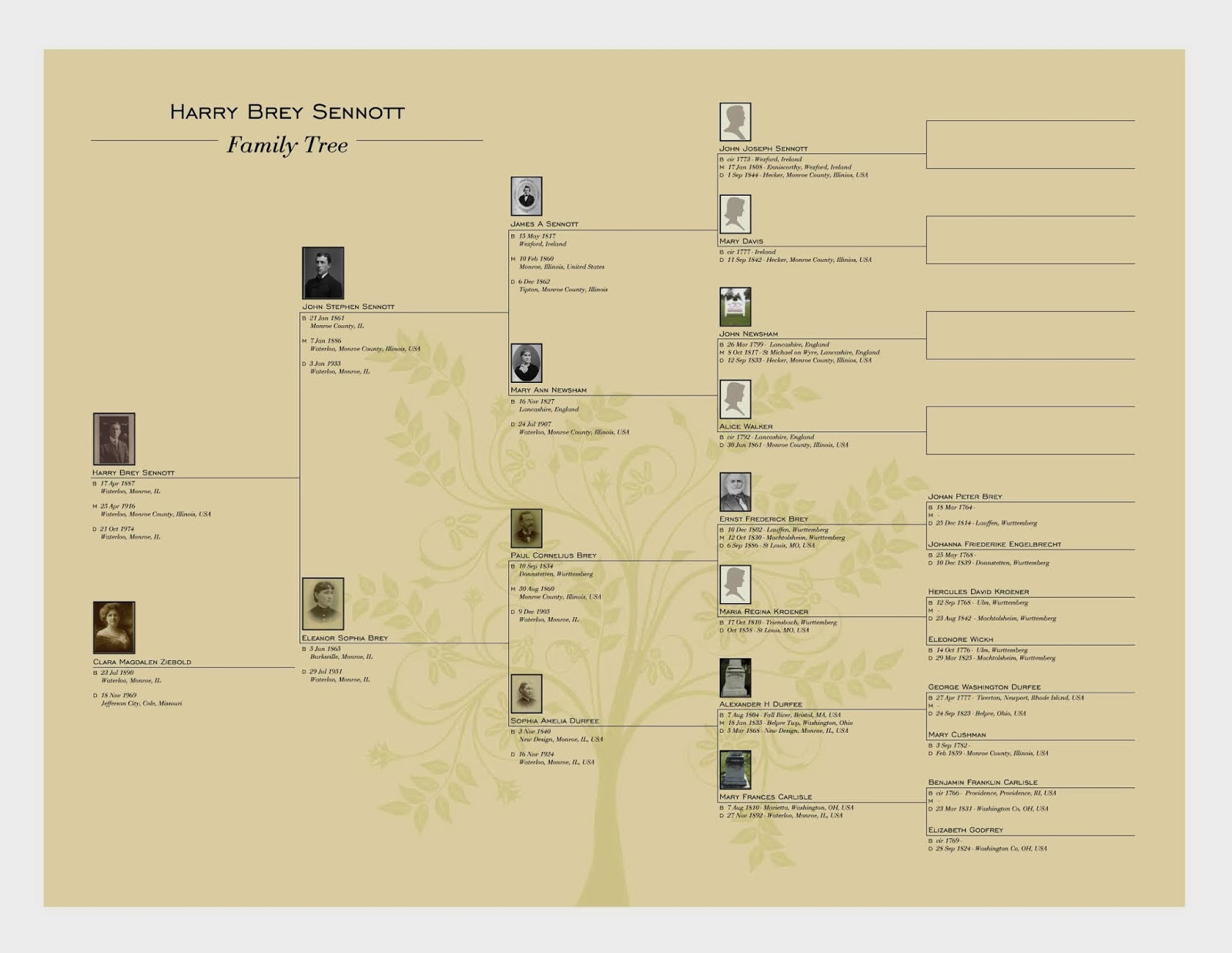 Through The Years: Family Trees