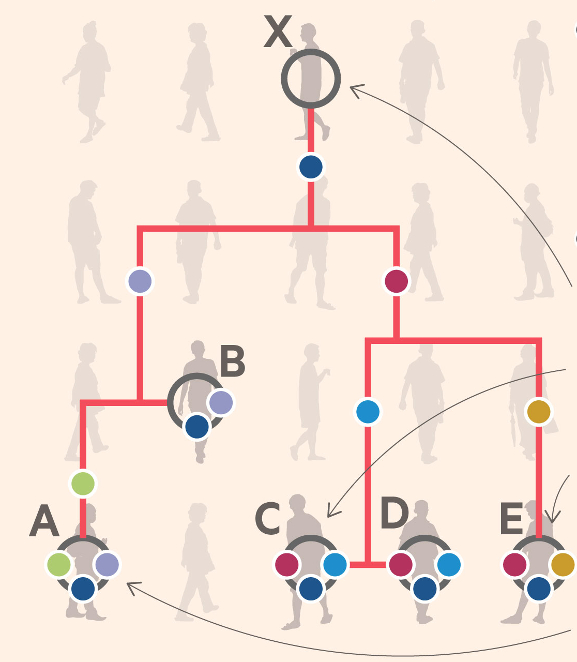 Hodges model: Welcome to the QUAD