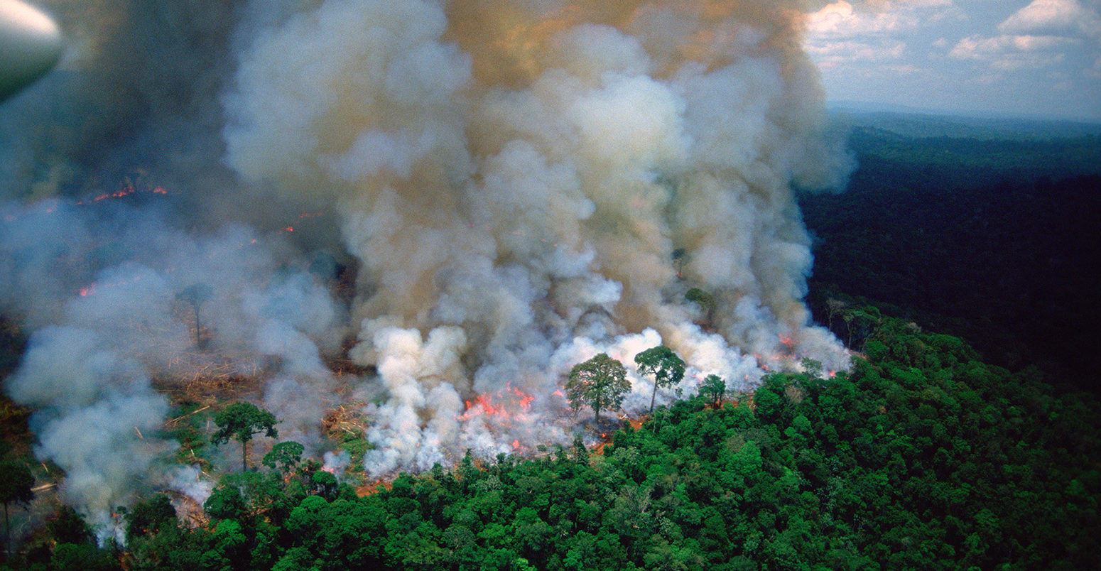 The Big Wobble : Wildfires in the Brazilian Amazon rainforest hit ...