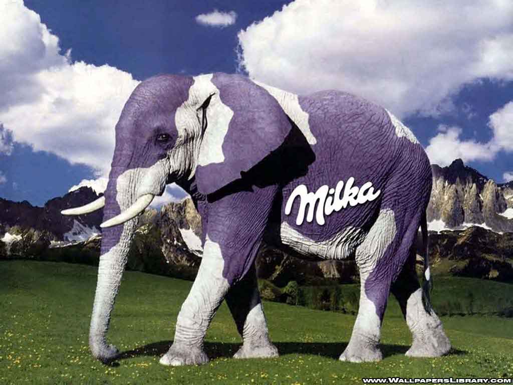 Funny Animals: Funny Elephant