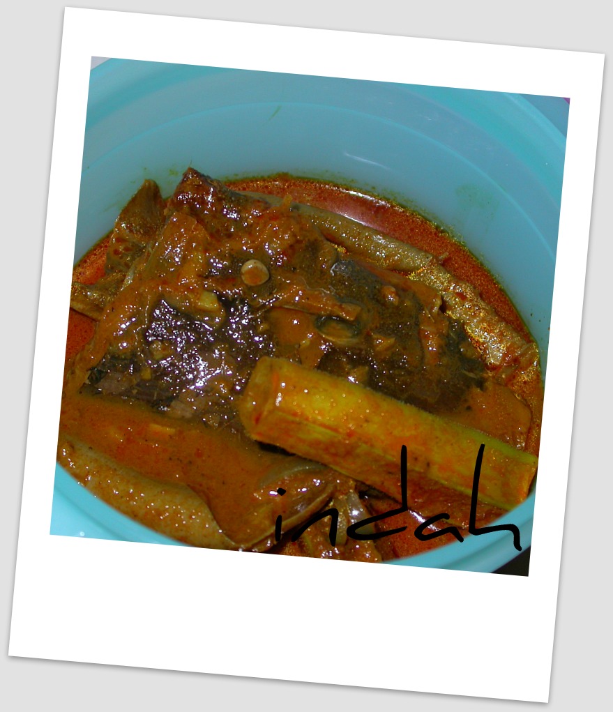 iNdah-nEw-pAssIon: ikan tuka masak kari