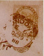 Biografia: Thomas Horrocks Openshaw | Redjack