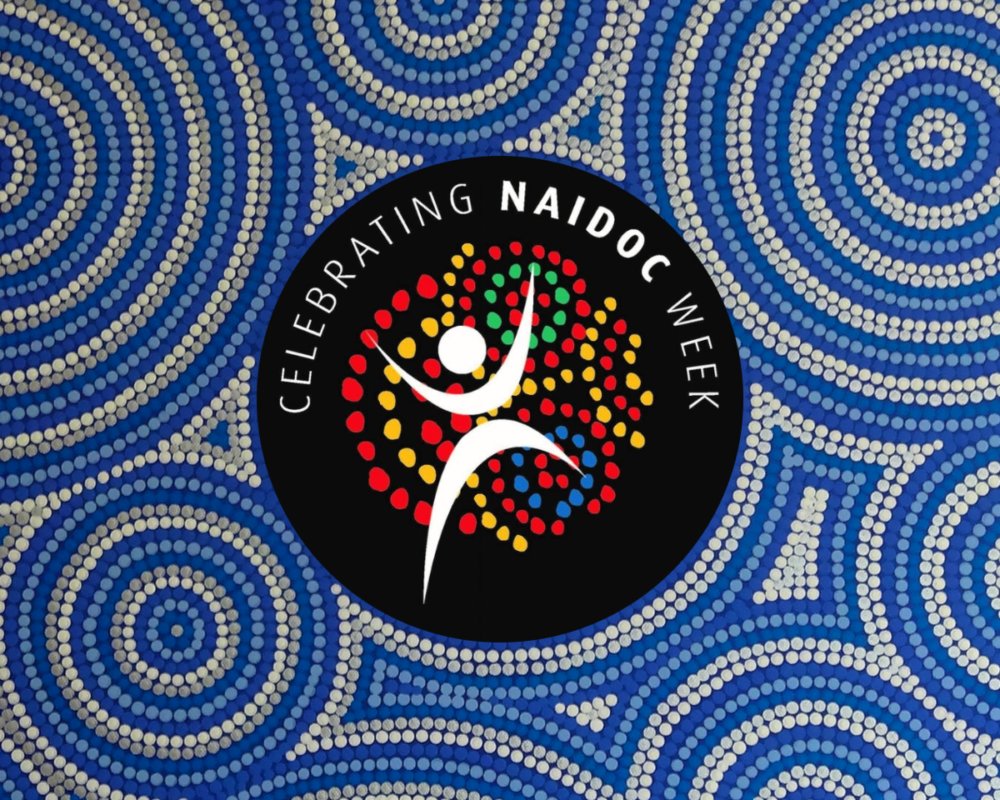 Kids' Book Review: Guest Post: Story Box Library Reflects on NAIDOC ...