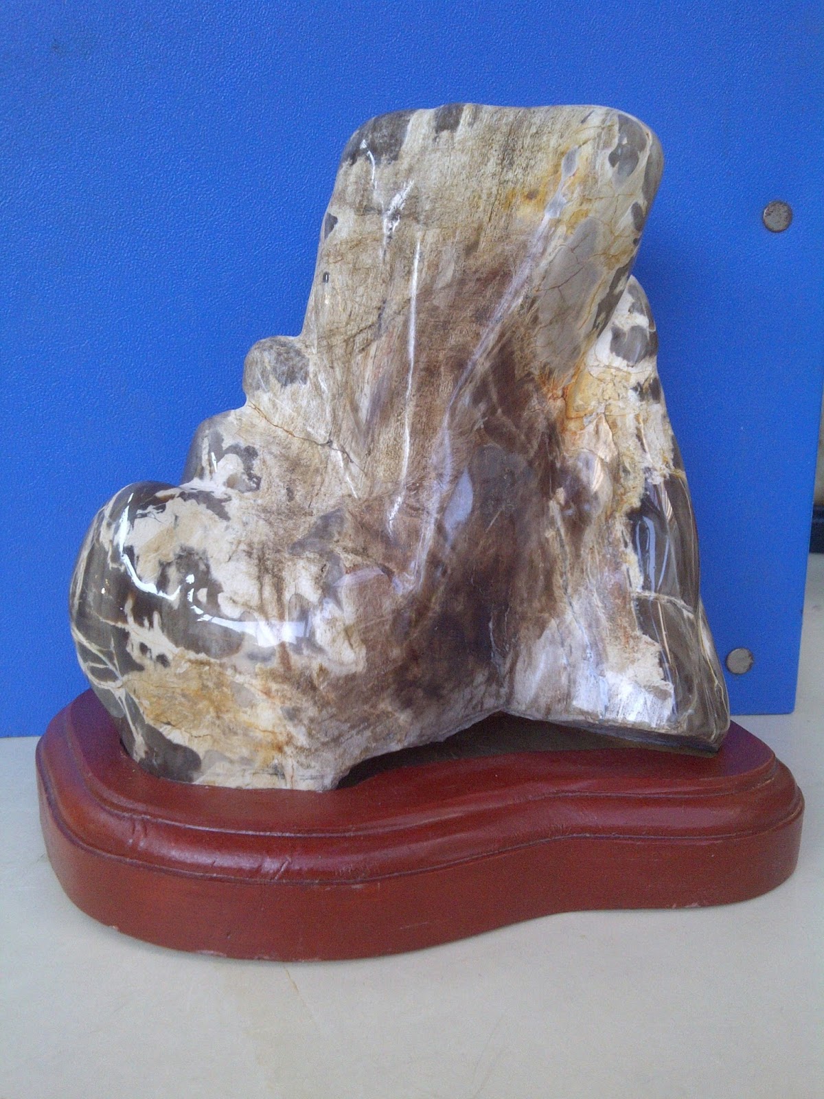 Pesona Batu Alam: Fosil Kayu