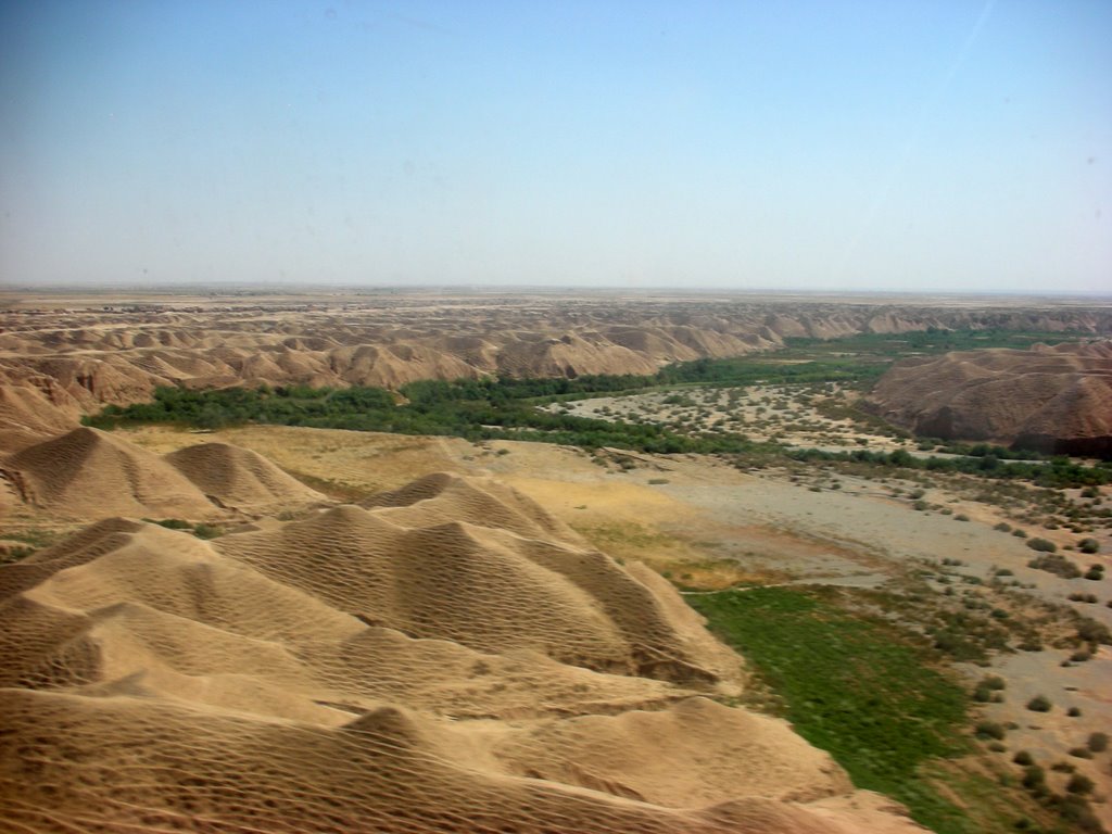 Bench Grass: Tinplate: An Inquiry for a Vacation Week