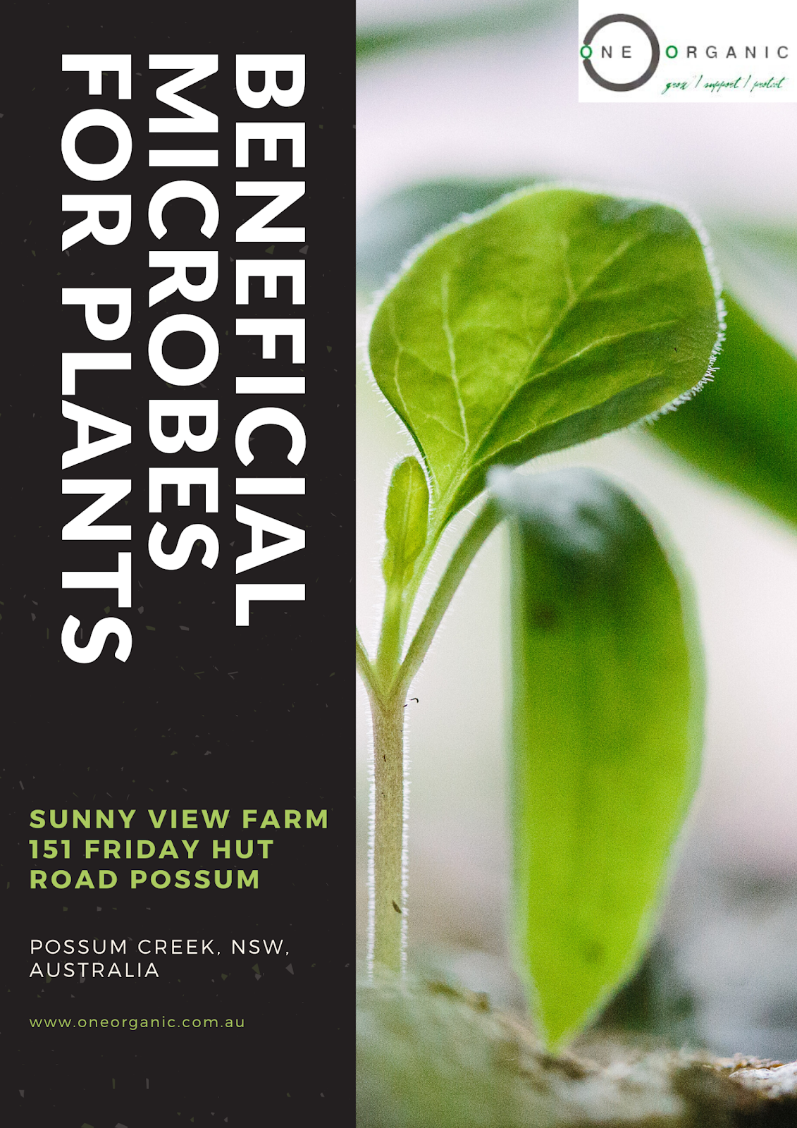 One Organic: Effective Microorganisms Australia Build a Sustainable ...