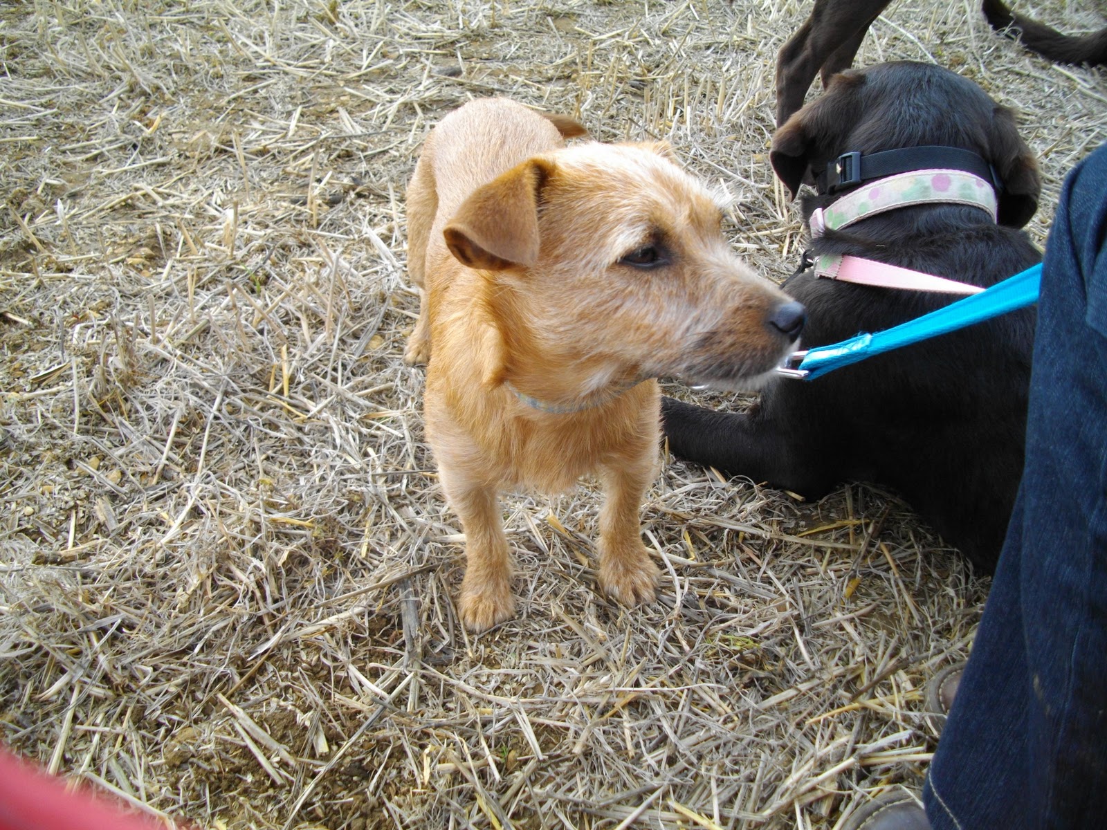 HOMES'COOL'!!: September 2011