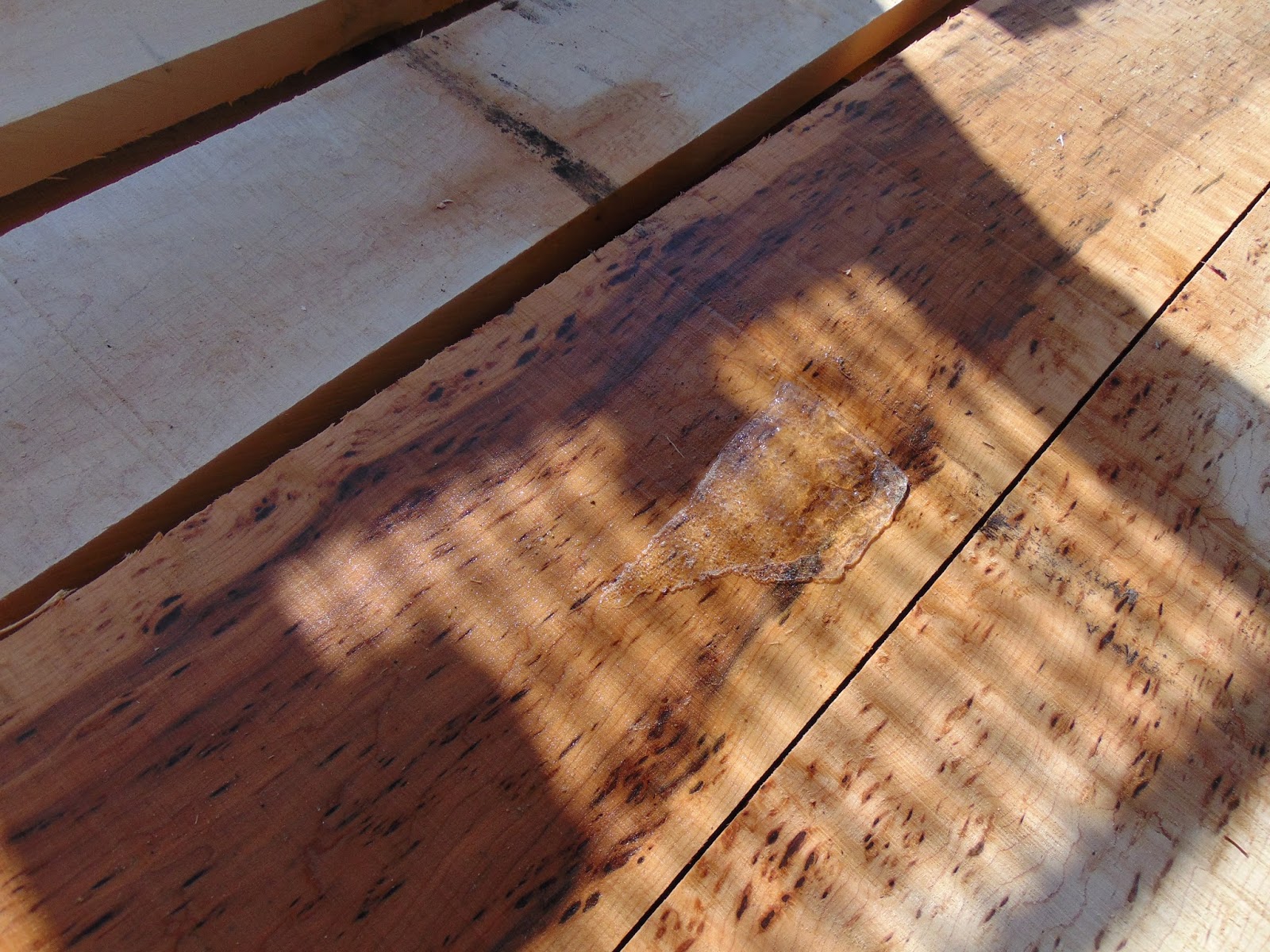 logs to furniture: April 2016 new load of flame birch , birdseye maple ...