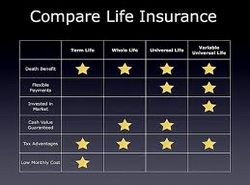 Term Life Insurance VS Whole Life Insurance | Life Insurance