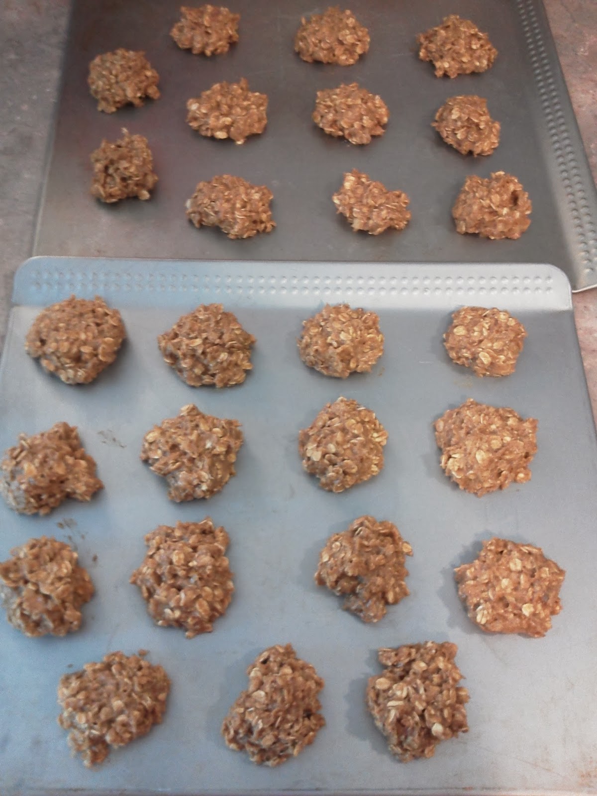 Pocono Pabulum for Mind & Body: Oatmeal Peanut Butter Muffin Cookies
