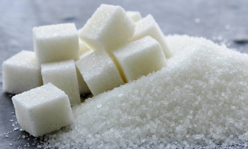 El blog de 4º ciencias