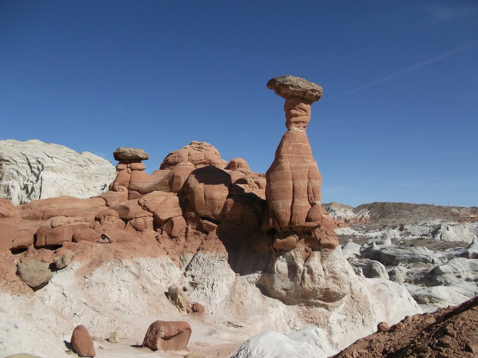 West Pine Creations: Toadstool and Virgin