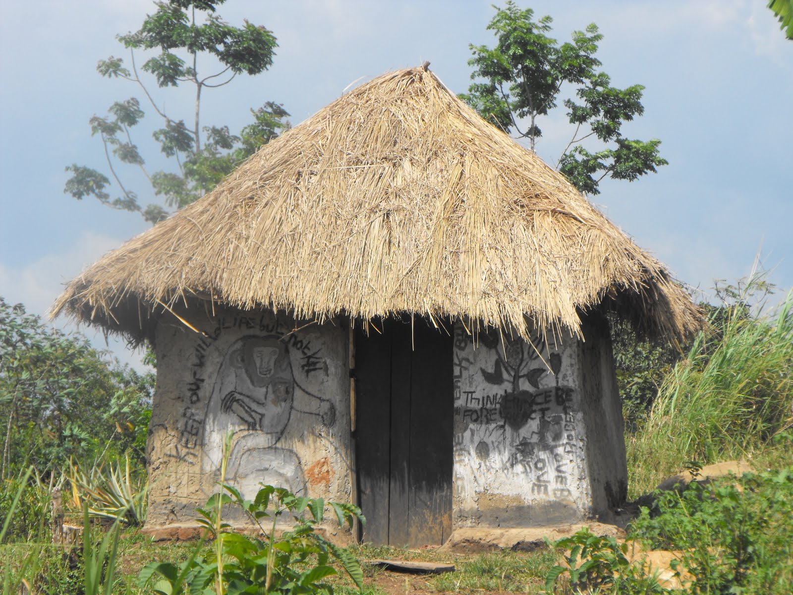 African Architectural Adventure: African Architecture