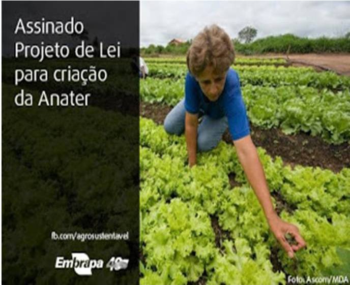 CIDADANIA: ANATER-AGÊNCIA NACIONAL DE ASSISTÊNCIA TÉCNICA E EXTENSÃO ...