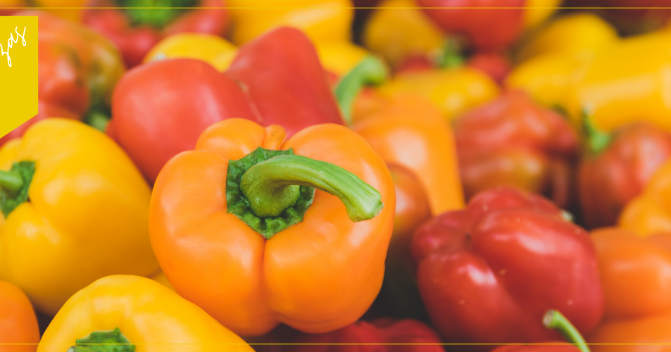 Como Cultivar Ajíes y Morrones de Manera Fácil en tu Balcón | Huerbana