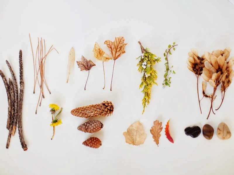 La búsqueda del tesoro... en casa | Jugar con la creatividad