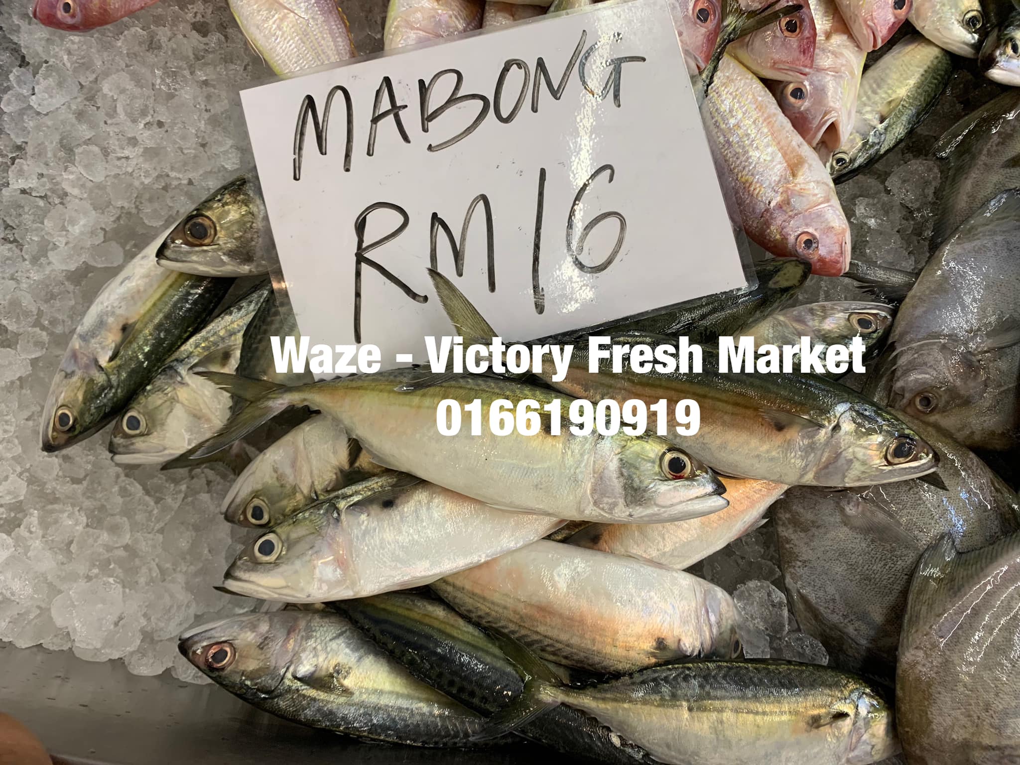 Victory Fresh Market @ Klang
