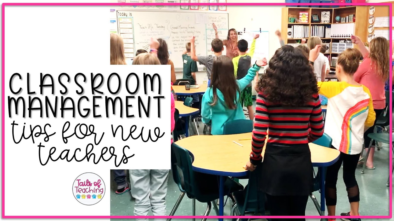 Tails of Teaching: Classroom Management Tips for New Teachers