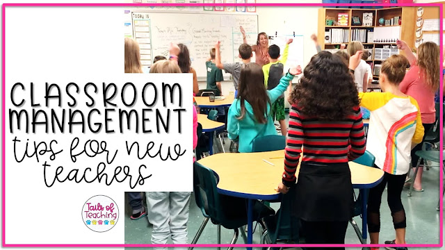 Tails of Teaching: Classroom Management Tips for New Teachers