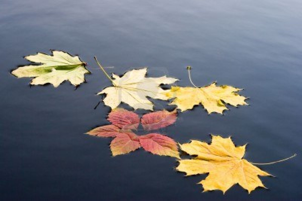 La guarida del Fénix...: Hojas en el Río (Romance)