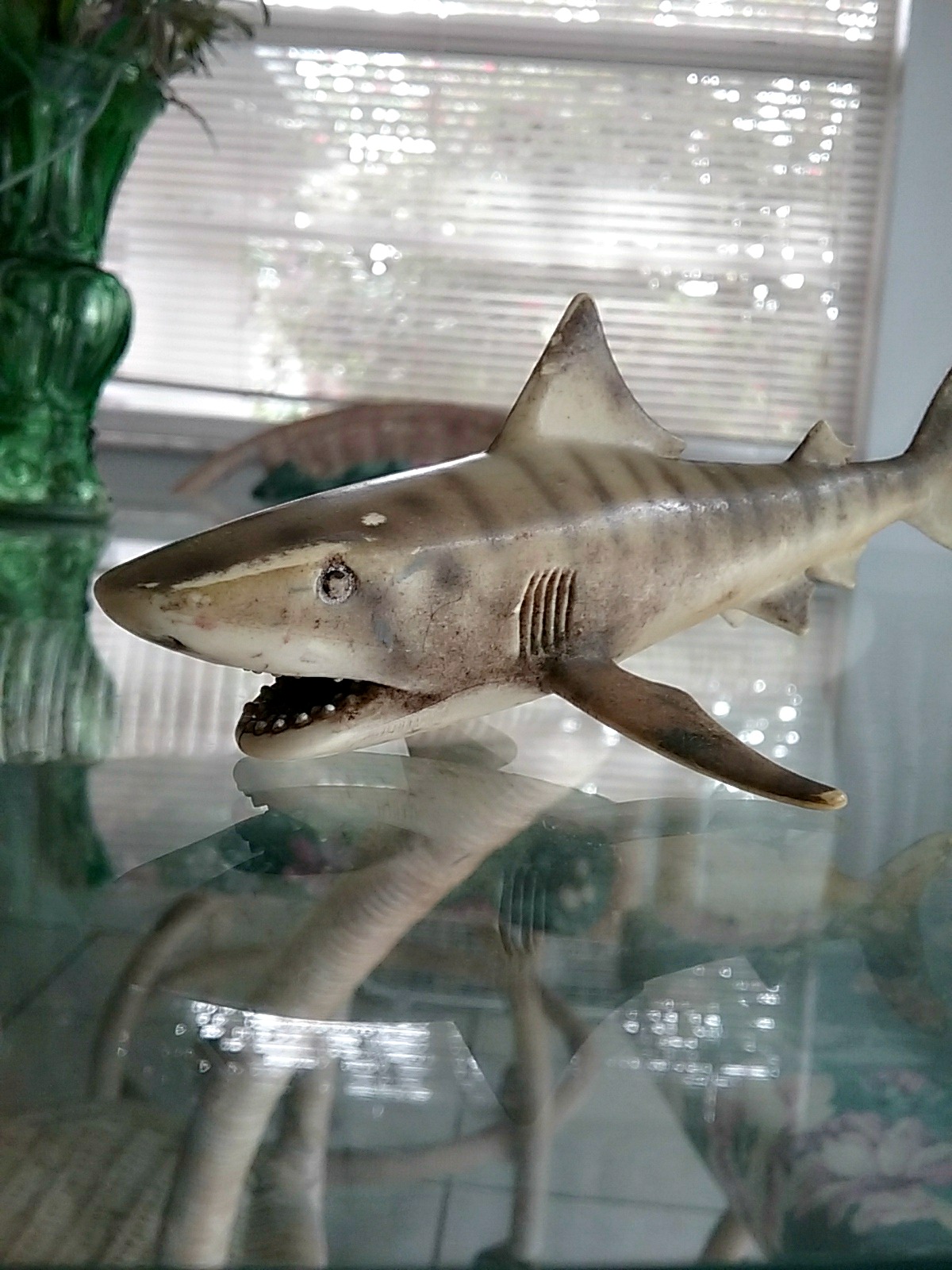 MadSnapper: A Shark, A Lizard and a Snake!