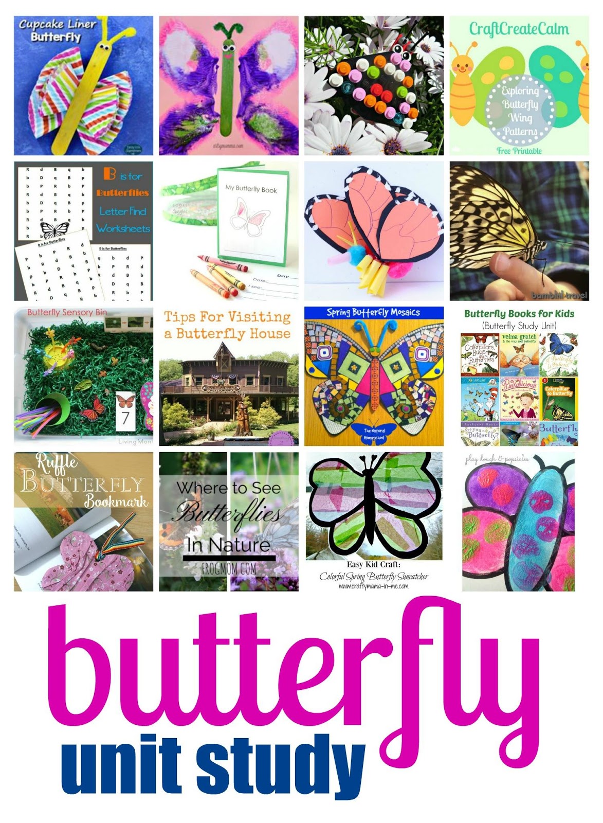 Butterflies for Kids {Free Butterfly Journal}