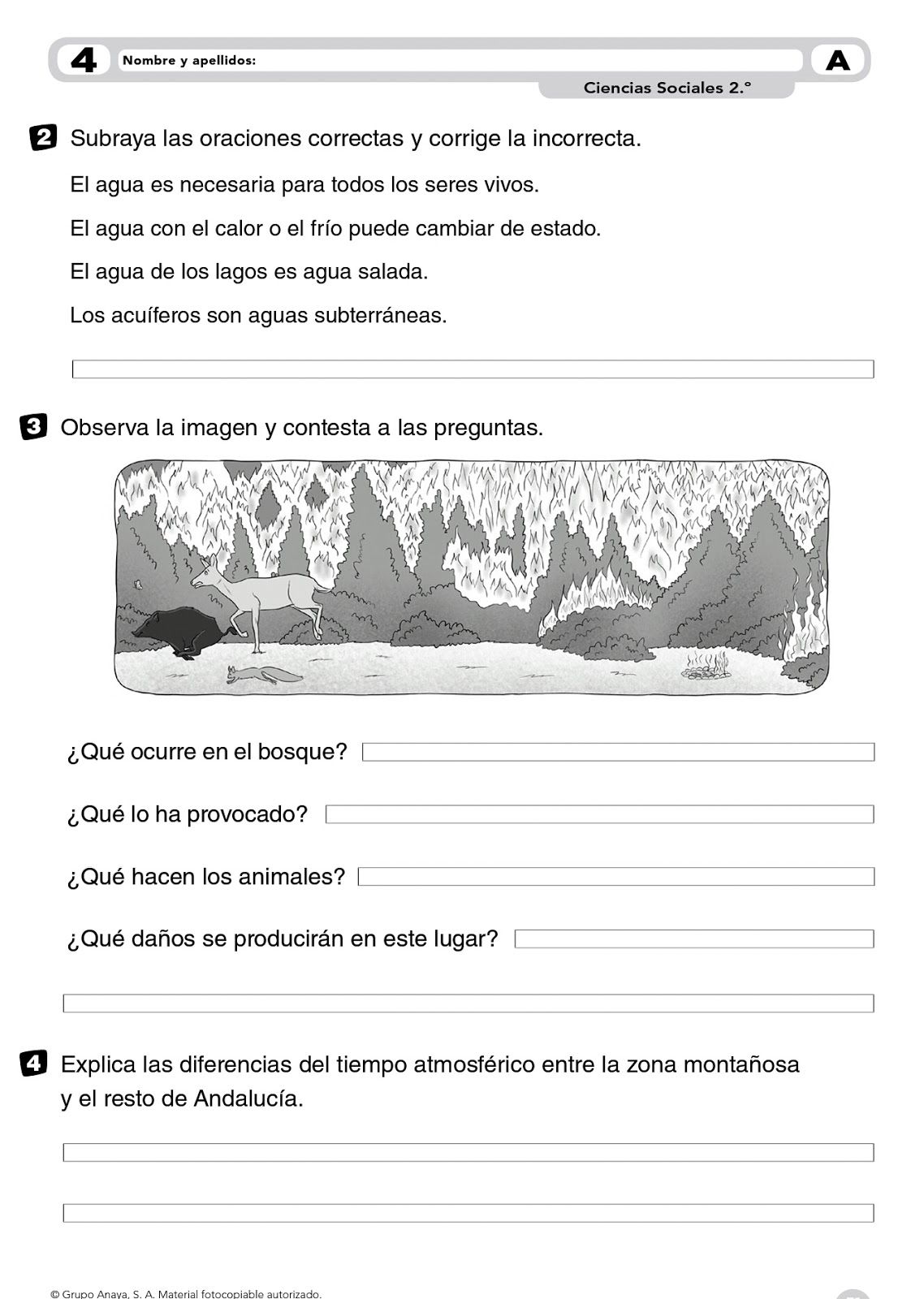 *Mi maestra Rocío*: Fichas de repaso de sociales y naturales