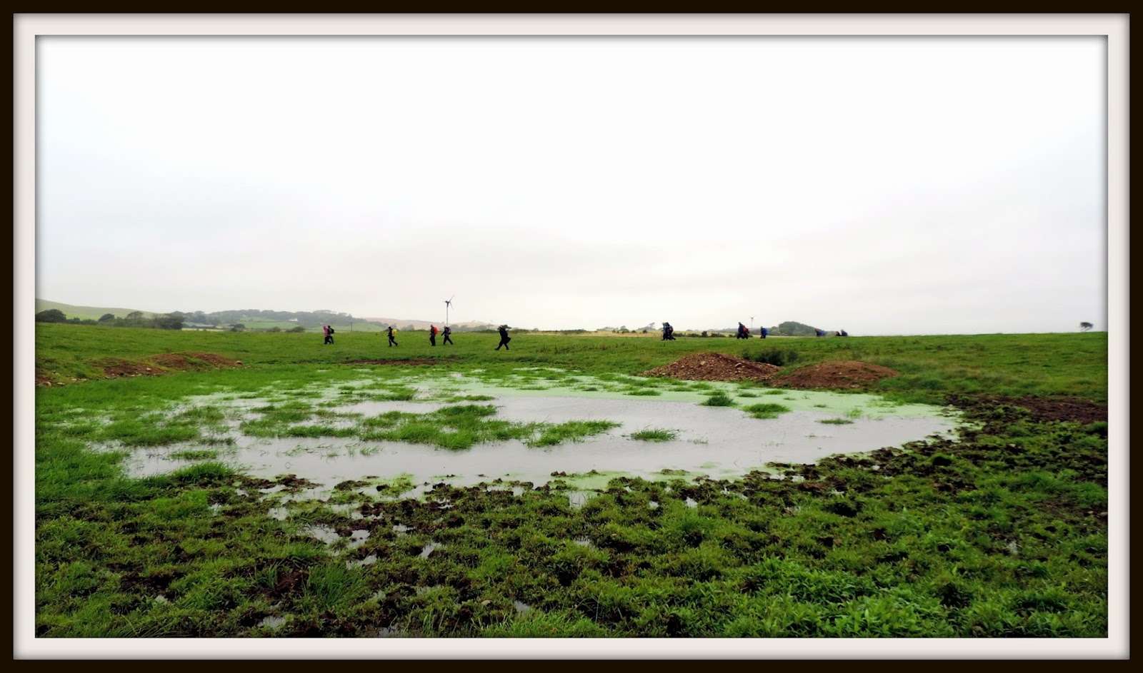 The Glebe Blog: Wigtownshire Ramblers Stoneykirk Circular August 2013