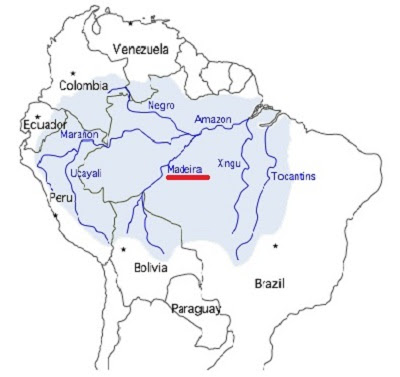 Brazil Weird News: In danger of disappear: The rock engravings of the ...