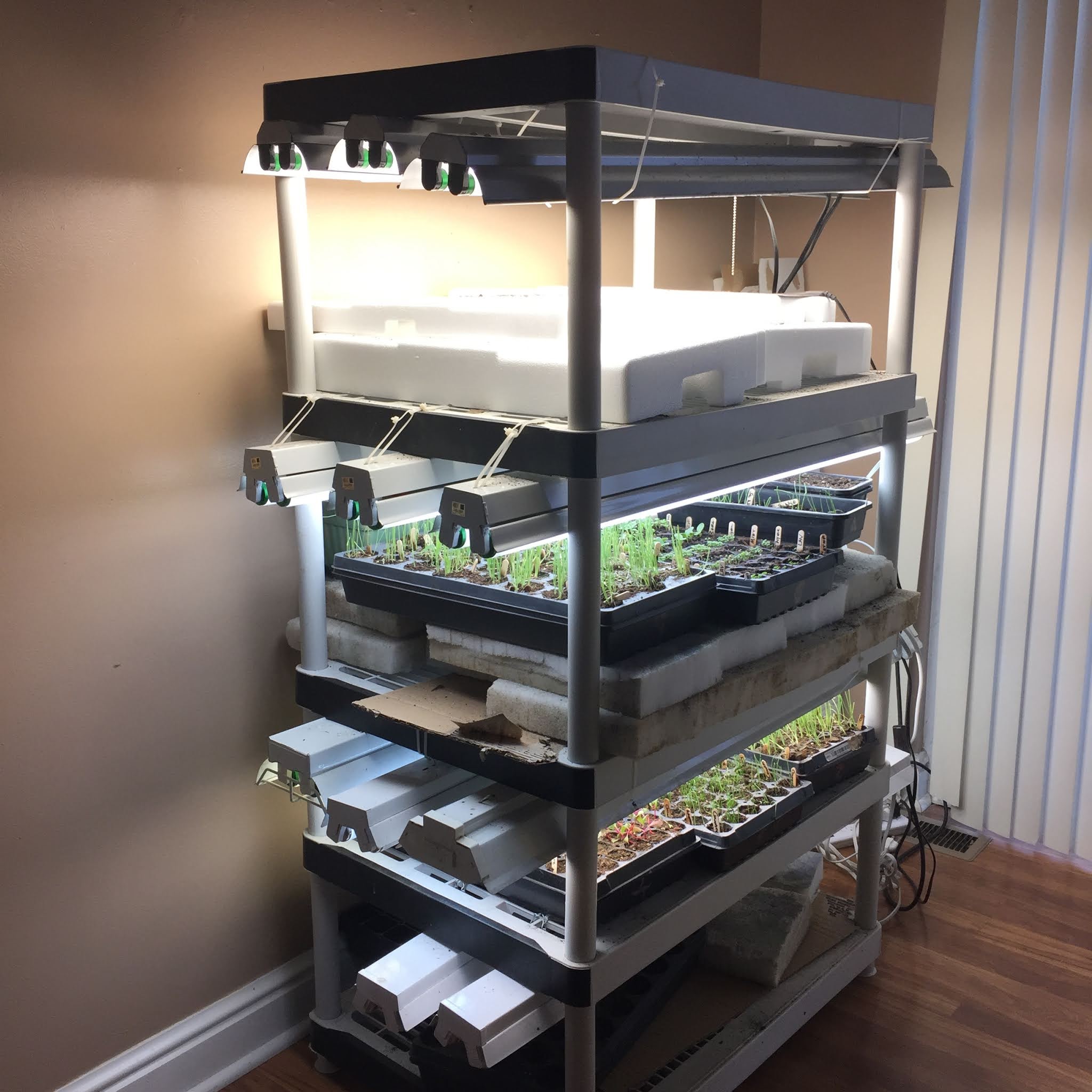 The Homestead Village: Affordable Seed Starting Setup