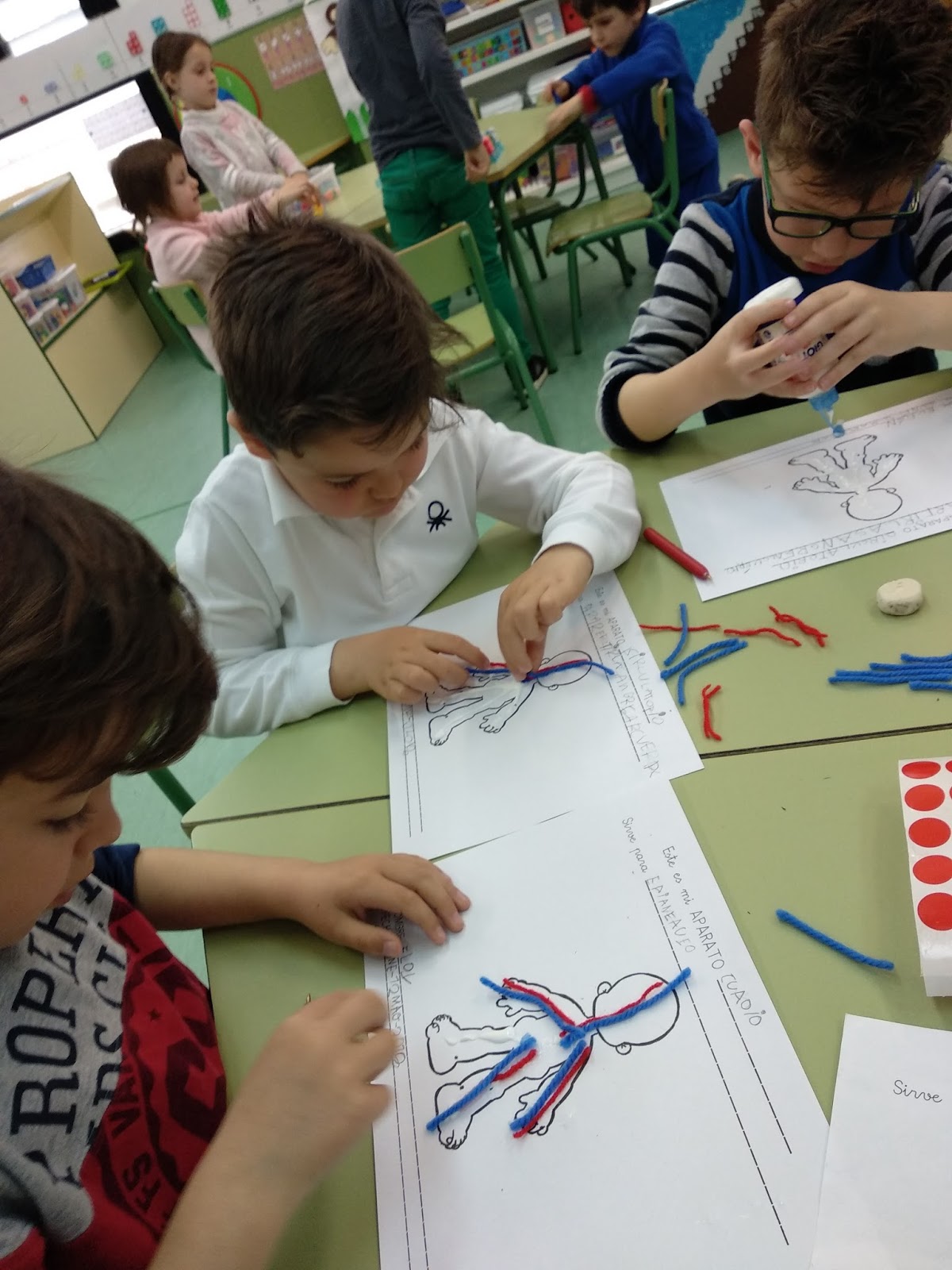 Juntos descubrimos el mundo: PROYECTO "EL CUERPO HUMANO"