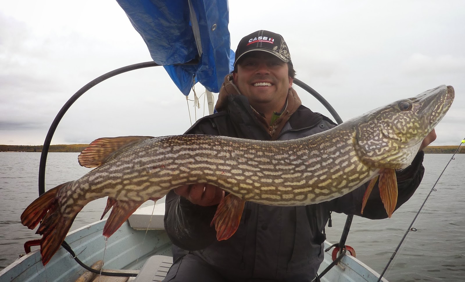 The Fishing Doctor's Adventures: Finally Fall Fishing Northern Pike!