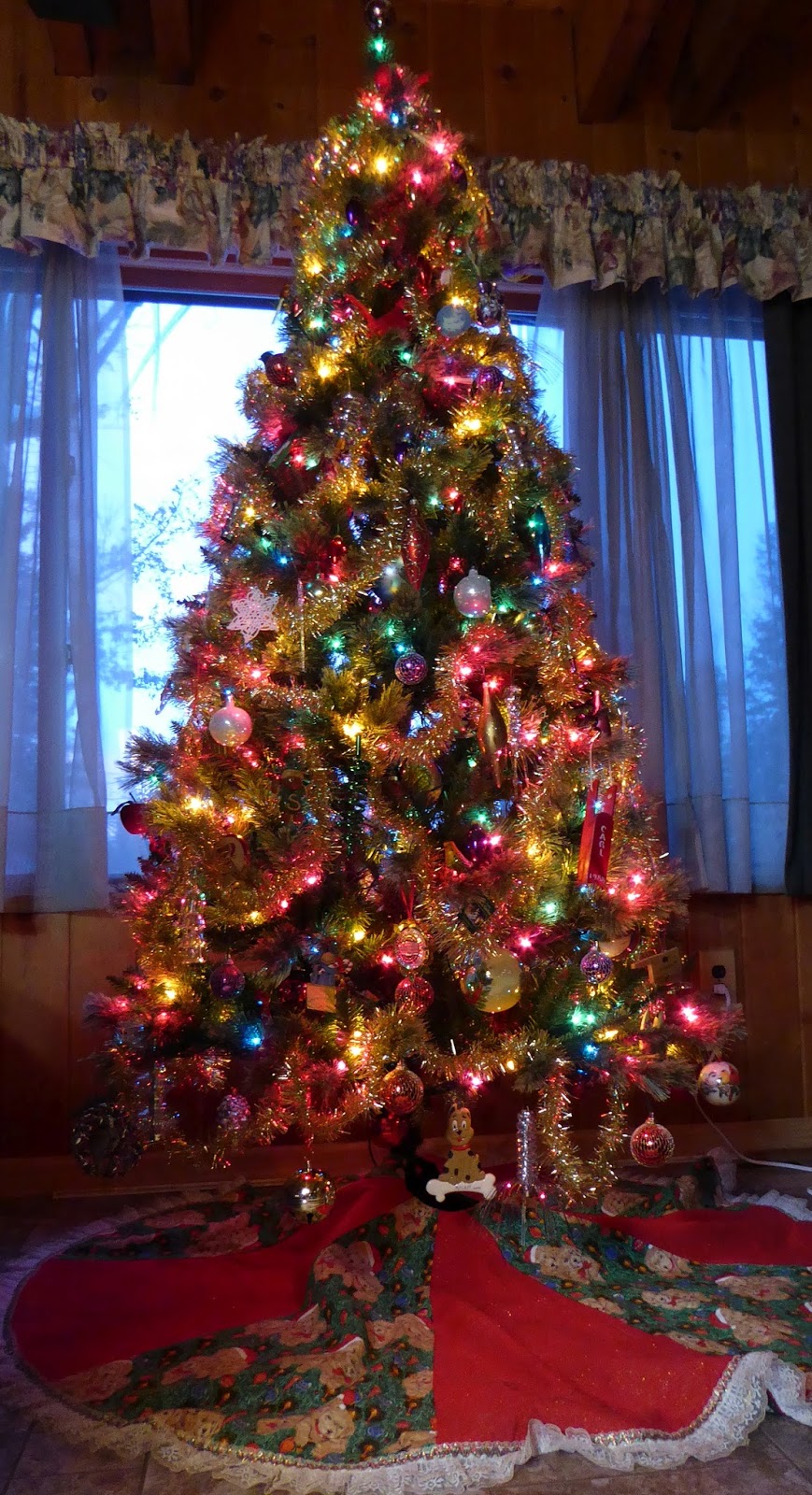 Life Outside the Swamp: Merry Christmas