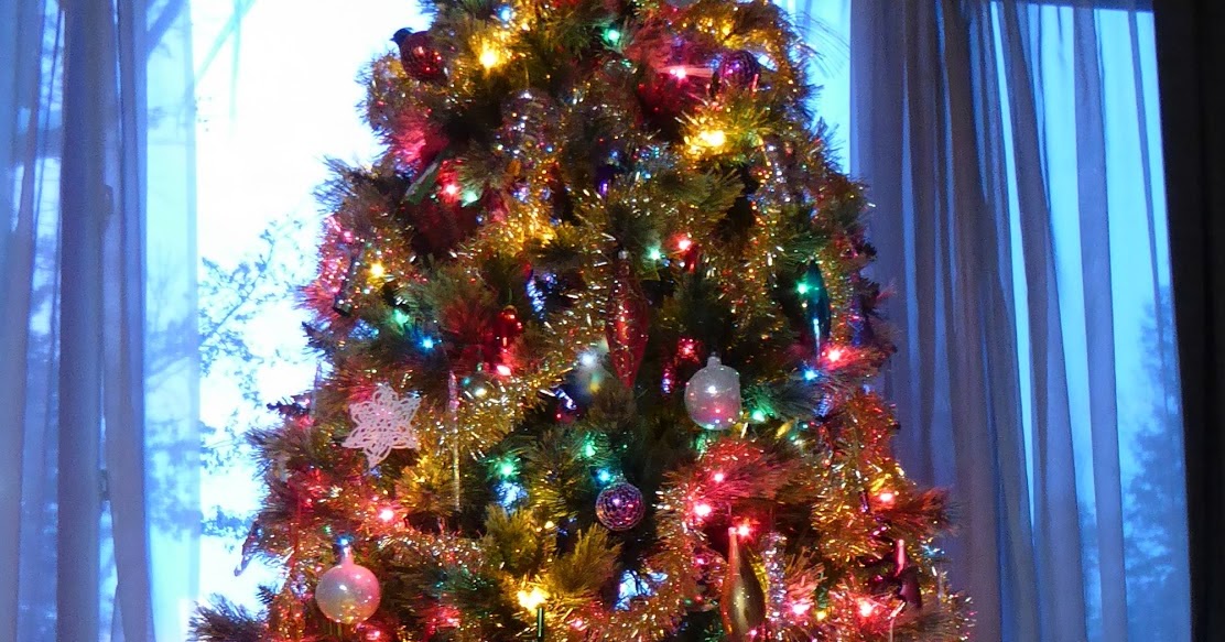 Life Outside the Swamp: Merry Christmas