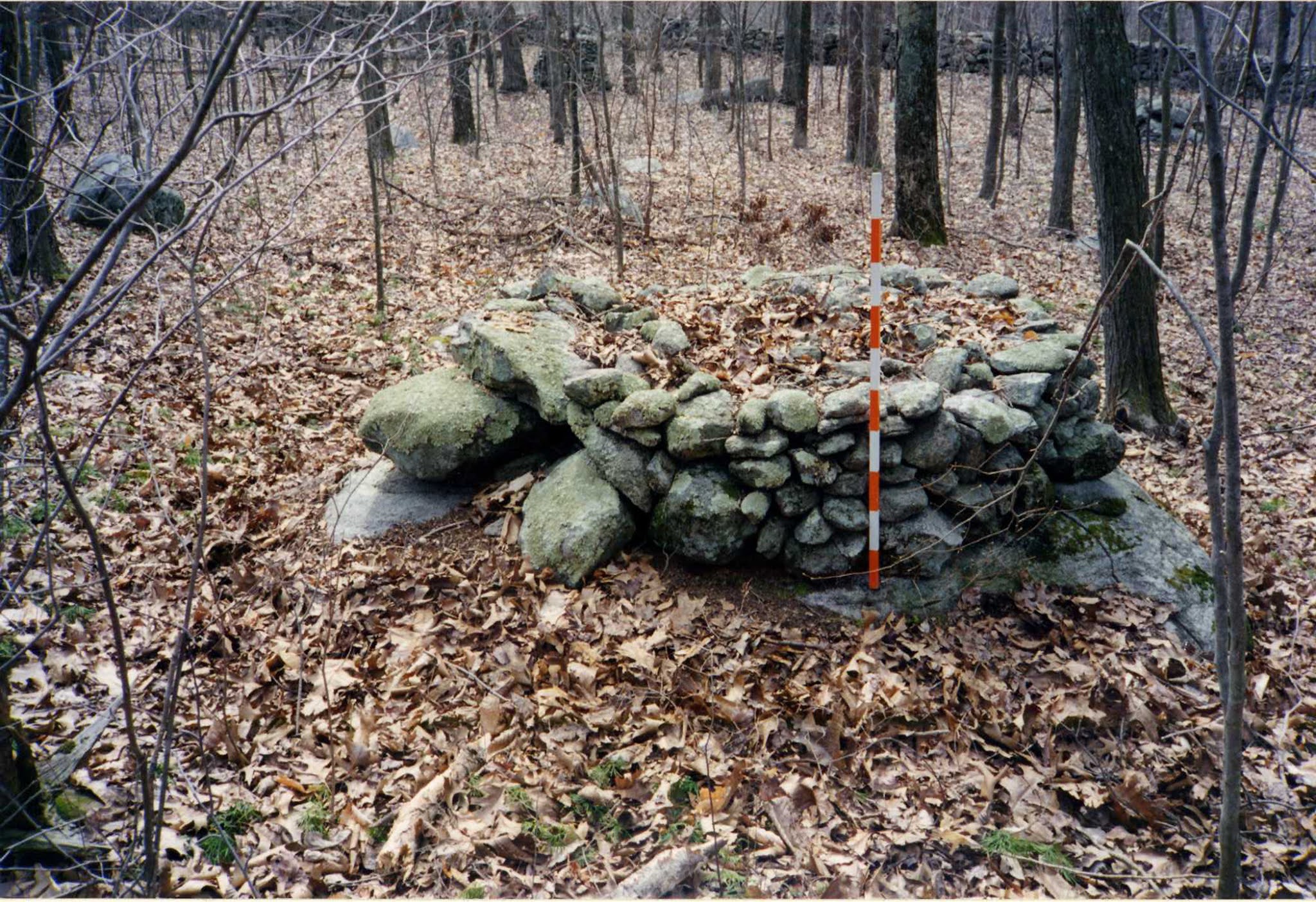 Rock Piles: Possible 'Turtle' Rocks