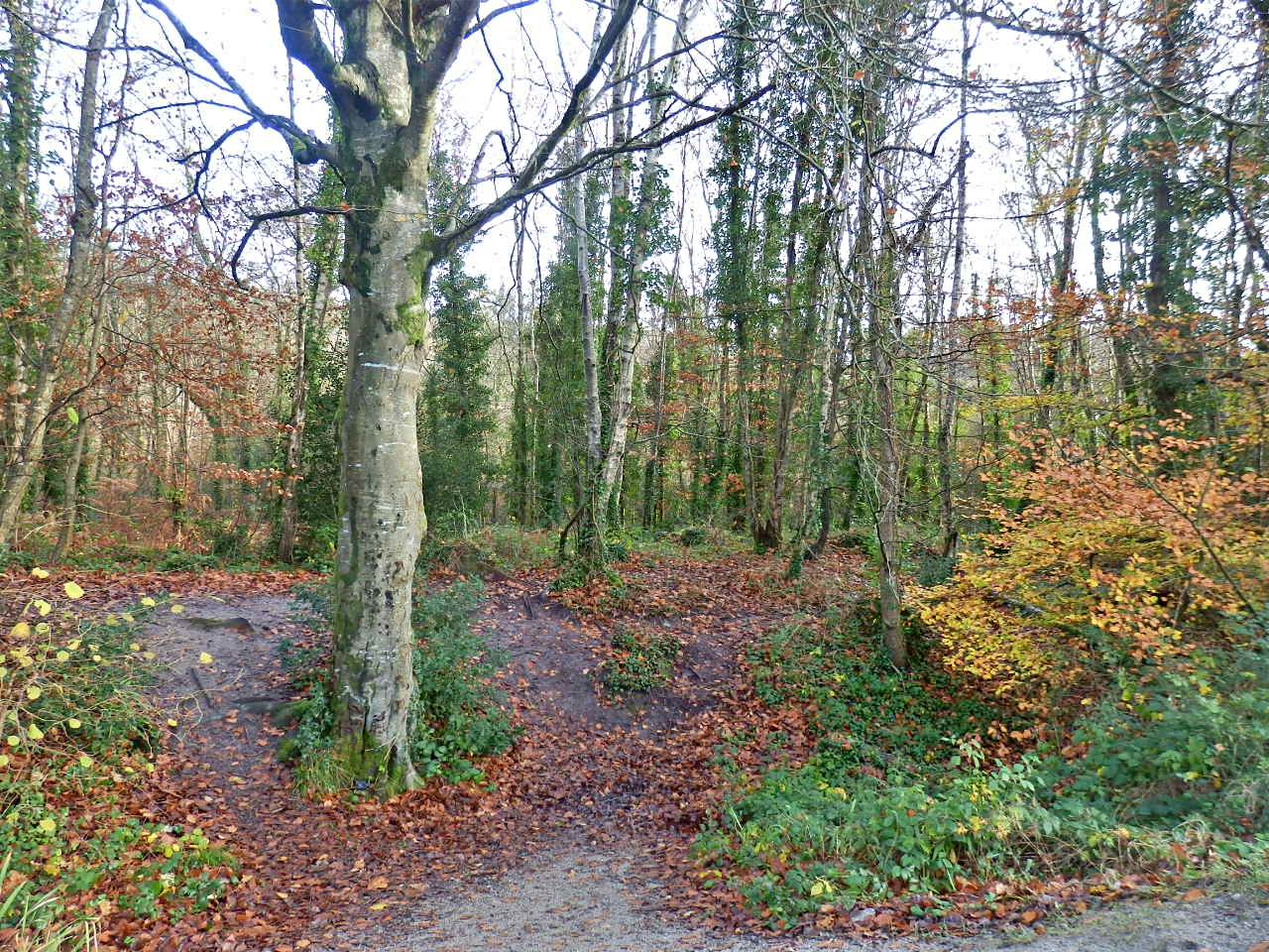 Mike's Cornwall: The Pentewan Trail, Cornwall