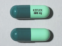 KEFLEX (Cephalexin)