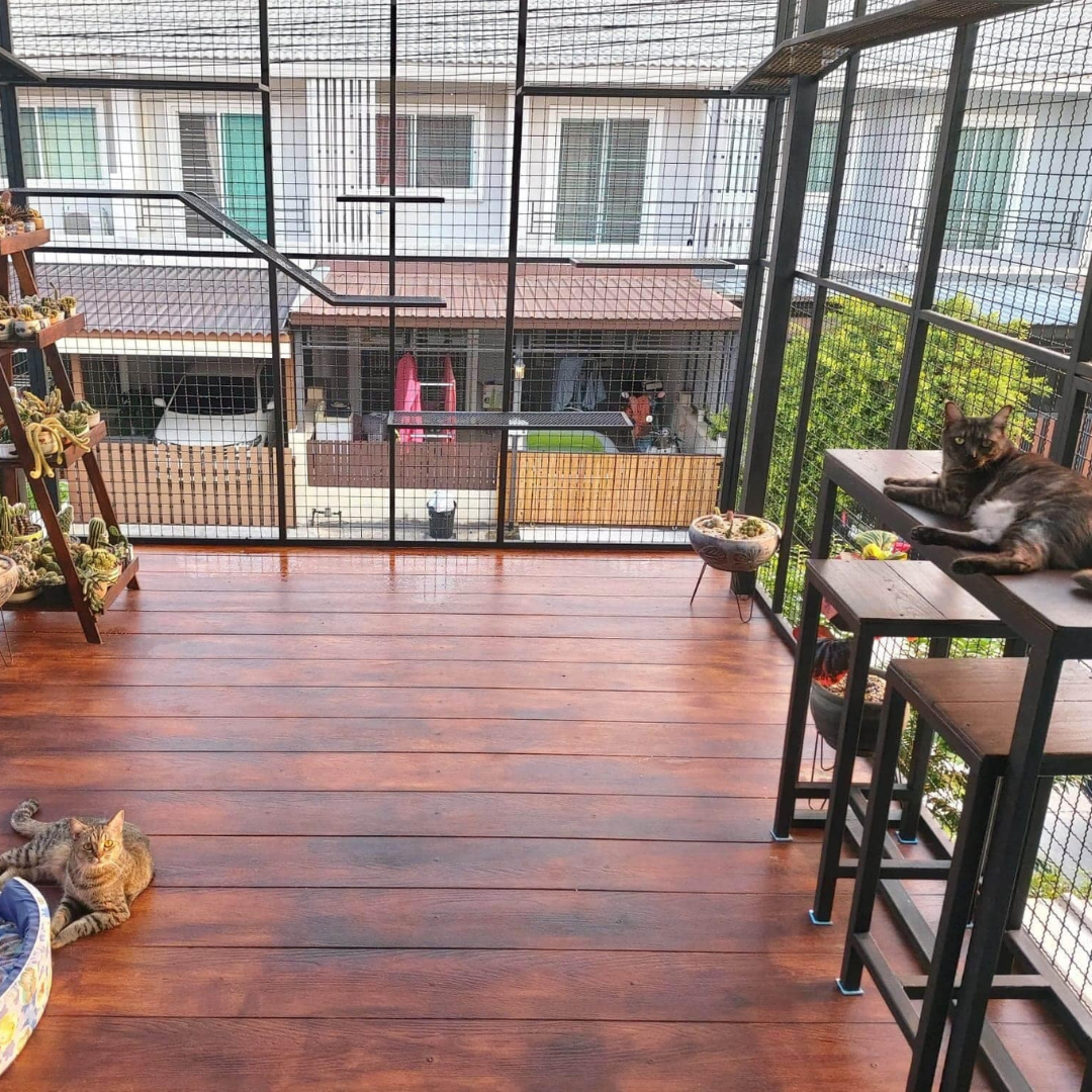 Menarik Betul Rumah Kucing Ni, Pemilik Habiskan Hampir RM10 Ribu