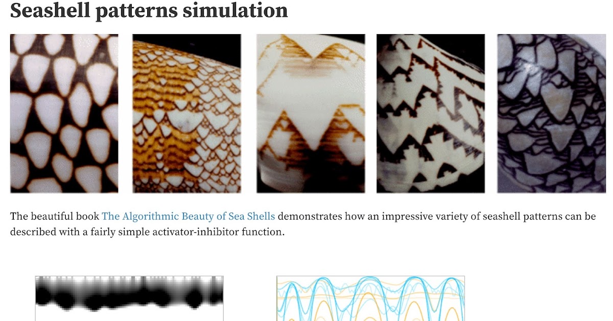 bIOVISUALIZE: Seashell pattern generator