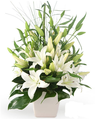 CIANJUR FRESH FLORIST: BUNGA LILY
