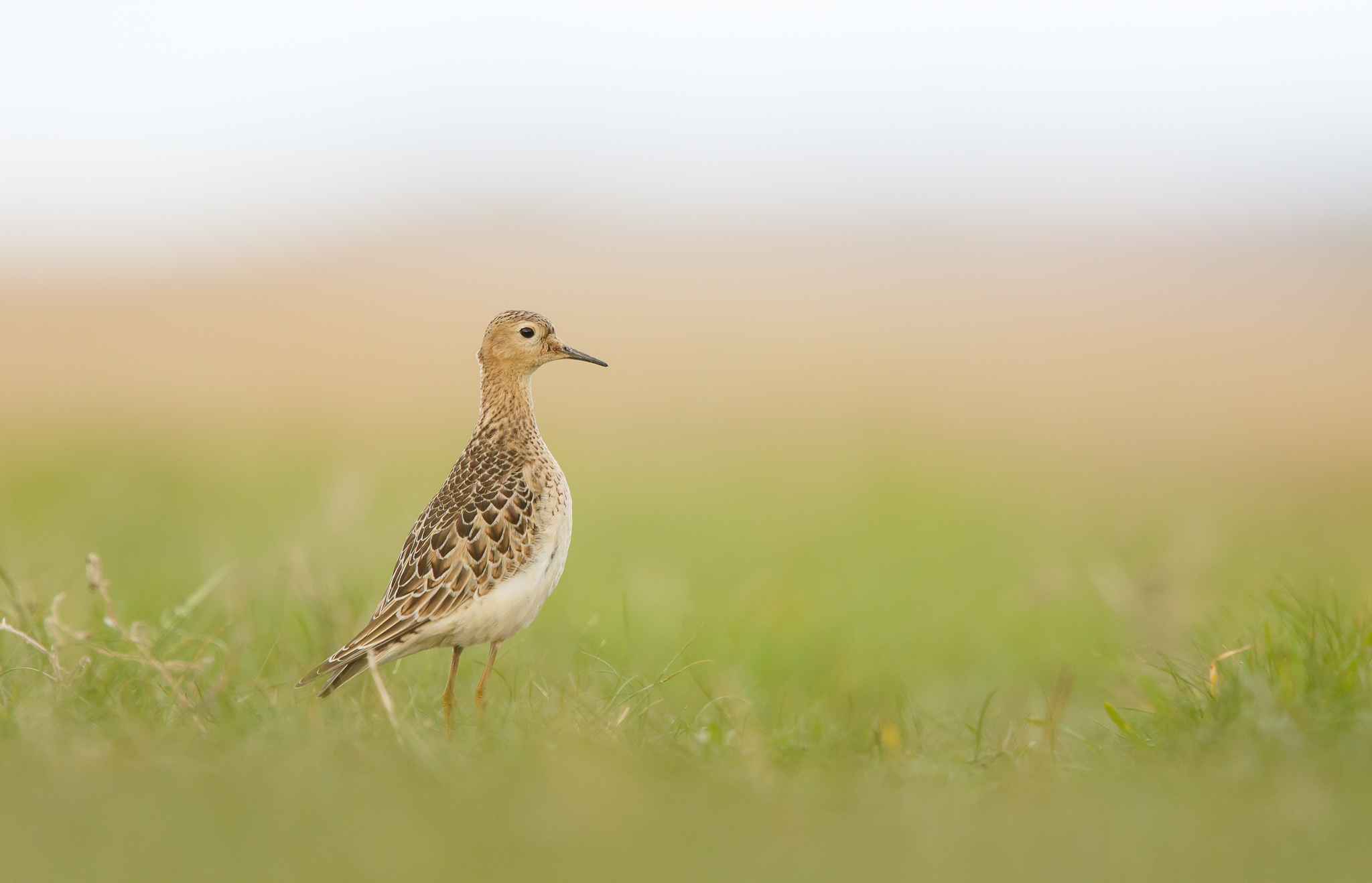 Nikos Fokas Photopraphy Blog