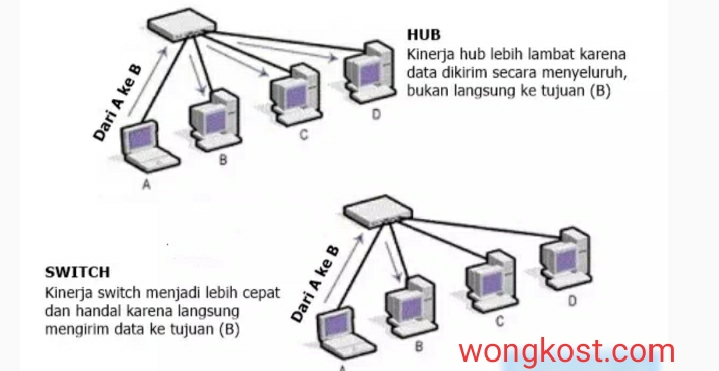 Pengertian, Fungsi dan Perbedaan [LENGKAP], HUB dan SWITCH - WONGKOST.com