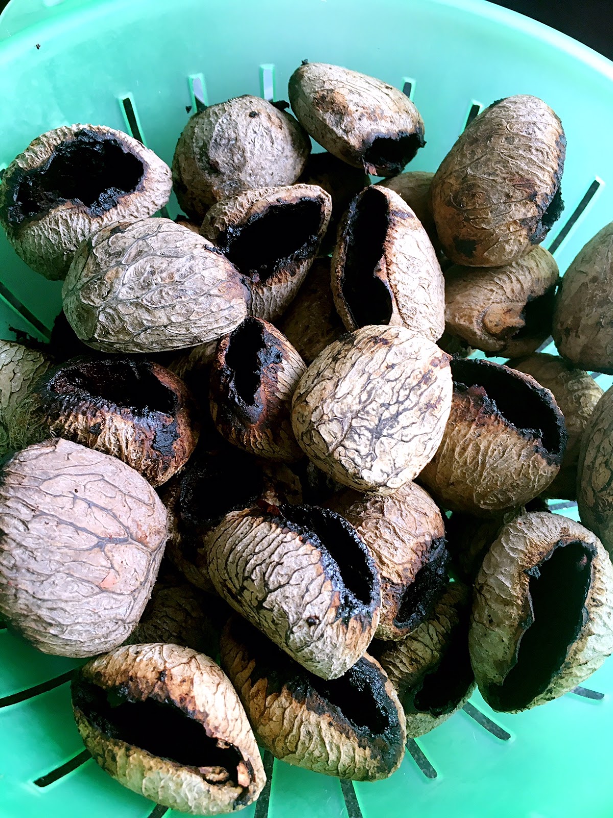 Ayam buah keluak (chicken with black nut curry) - Linda's Cravings