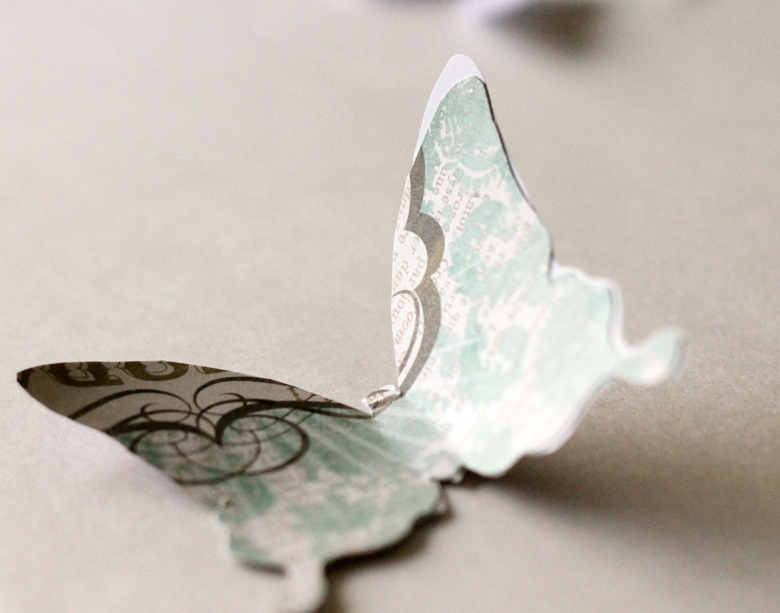 Where Your Treasure Is: Paper Butterflies